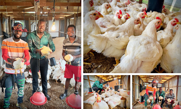 The Lord has Blessed their Chicken Business - Love A Child